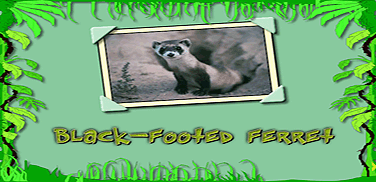 Typing Games | All the Right Type